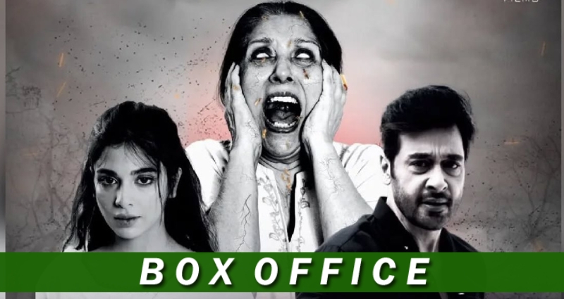 ‘Deemak’ Makes History at the Pakistani Box Office, Breaking Ground for ...
