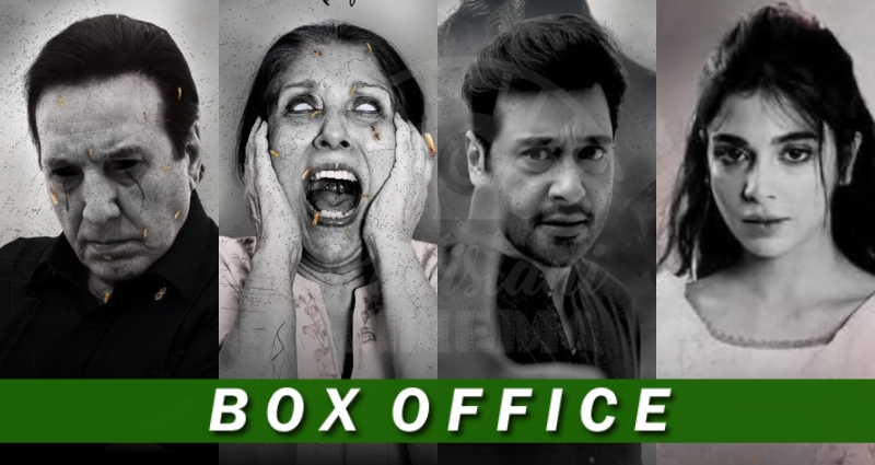 ‘Deemak’ Continues Successful Box Office Run in Third Week With PKR 127 ...